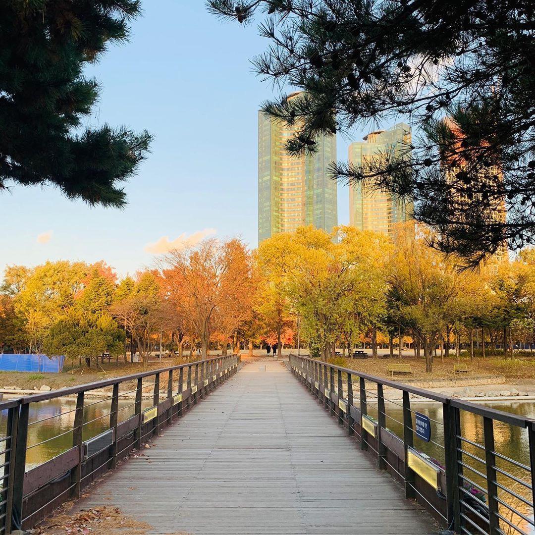 191125 LE Instagram Update | Scrolller