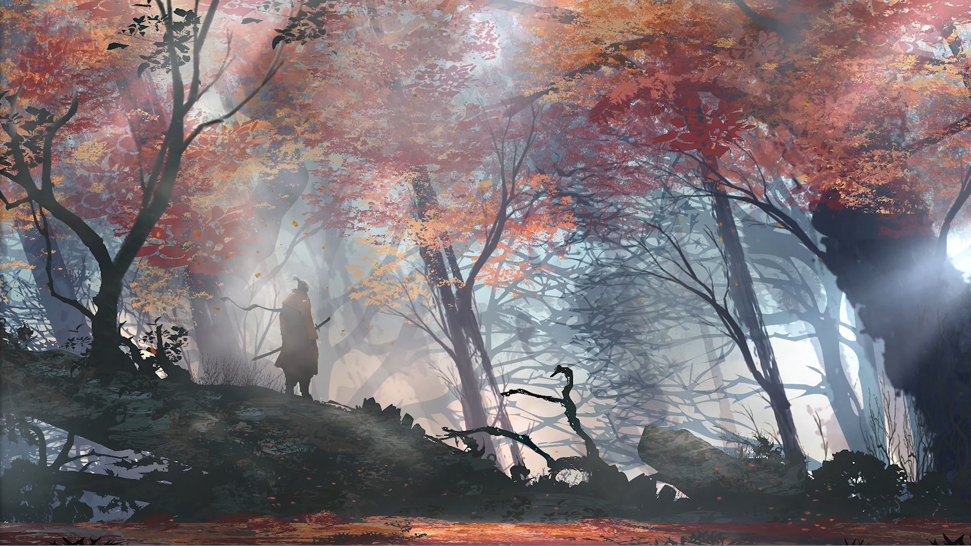 1920x1080 forest | Scrolller