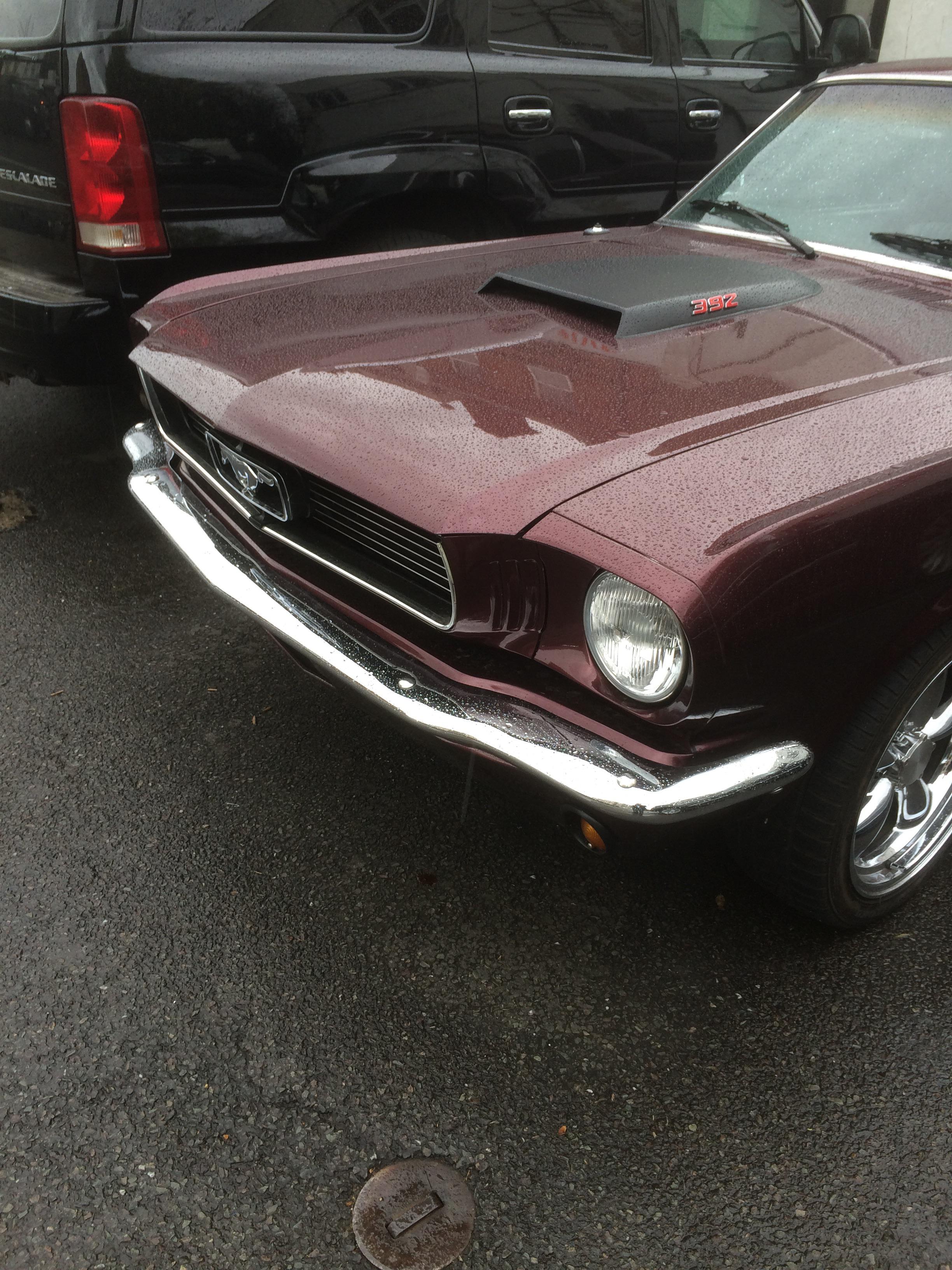 1966 mustang | Scrolller