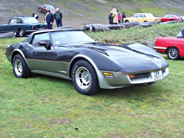 1980 Chevrolet Corvette C3 | Scrolller