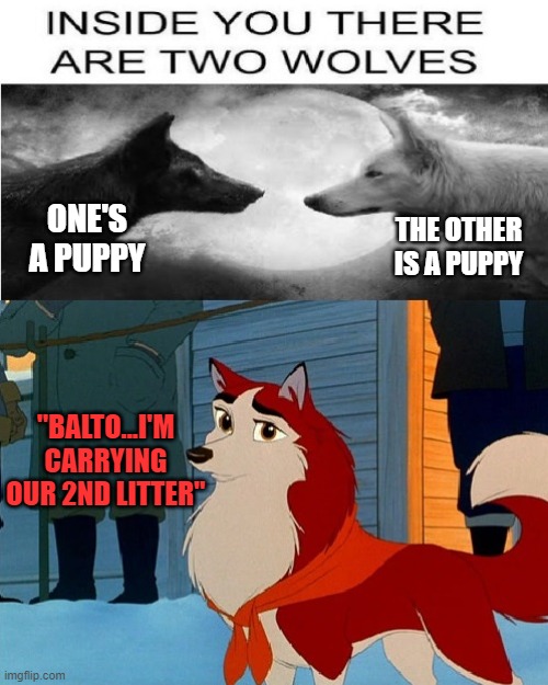 2 Wolves Meme. Literal, and logical. | Scrolller