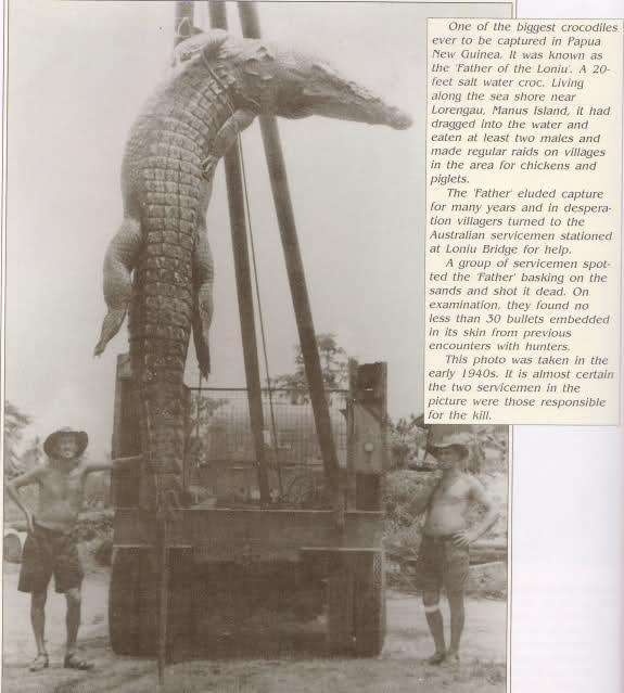 20 foot croc? | Scrolller