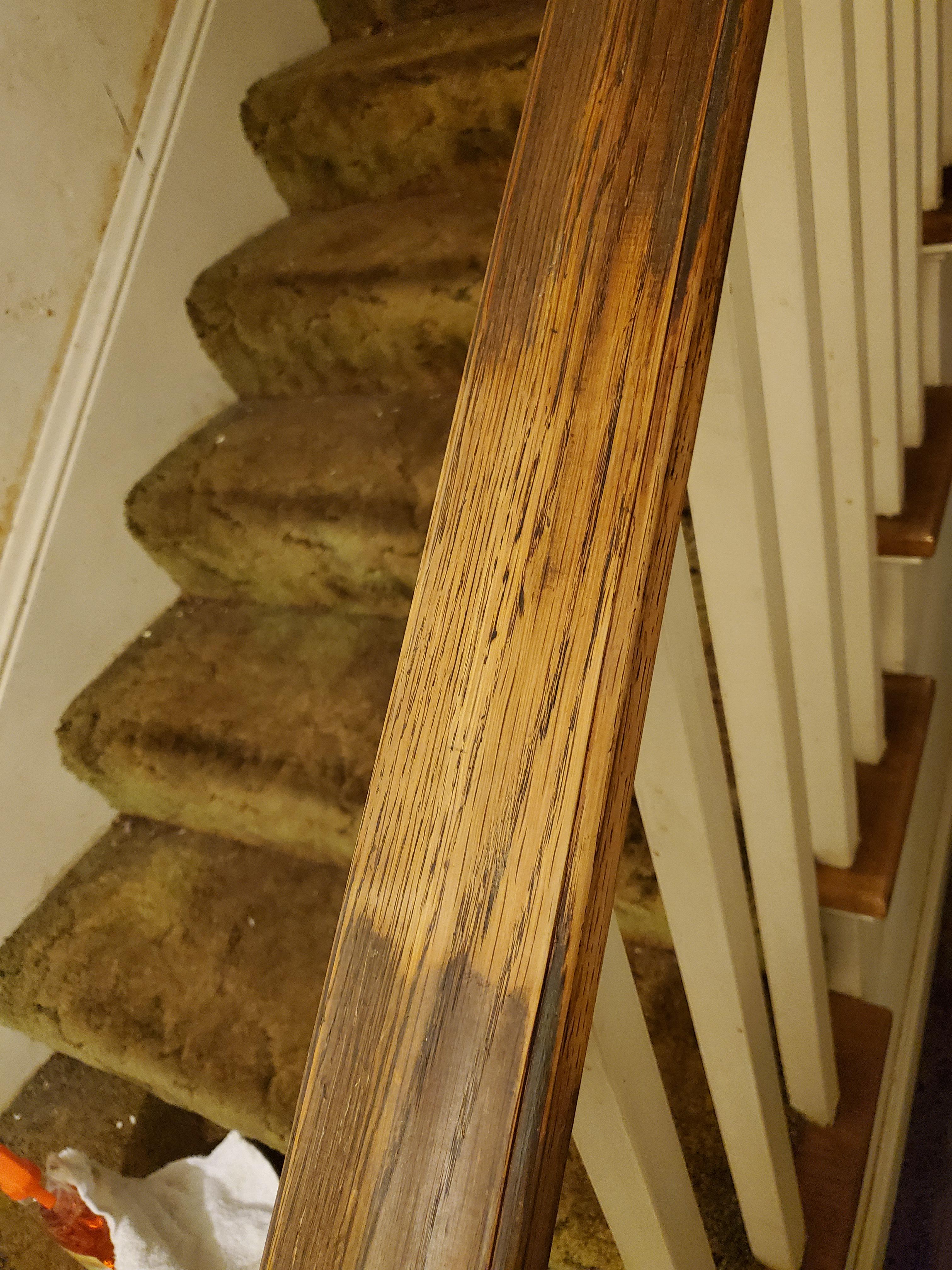 20 years of grime! | Scrolller