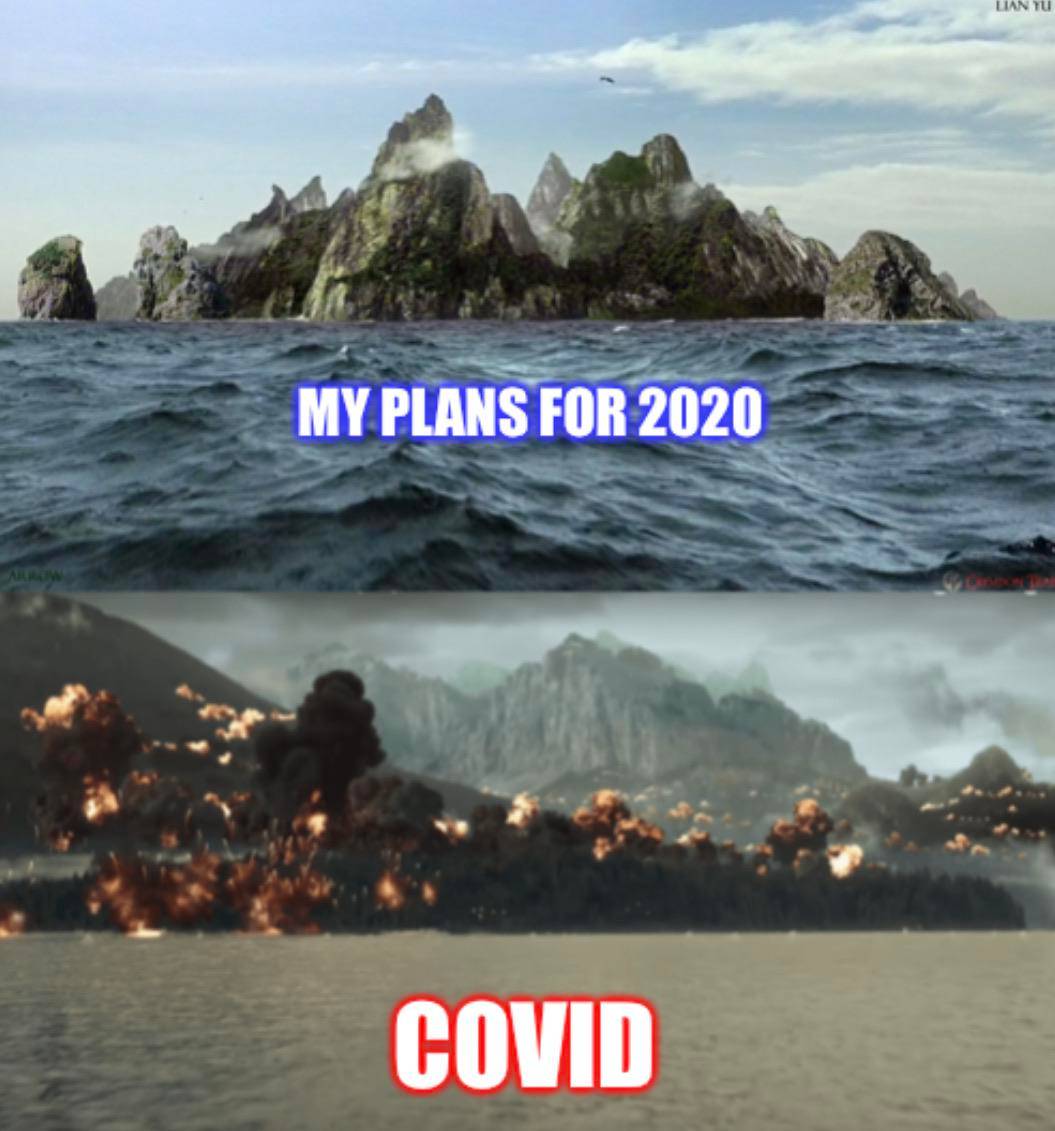 2020 in a nutshell | Scrolller