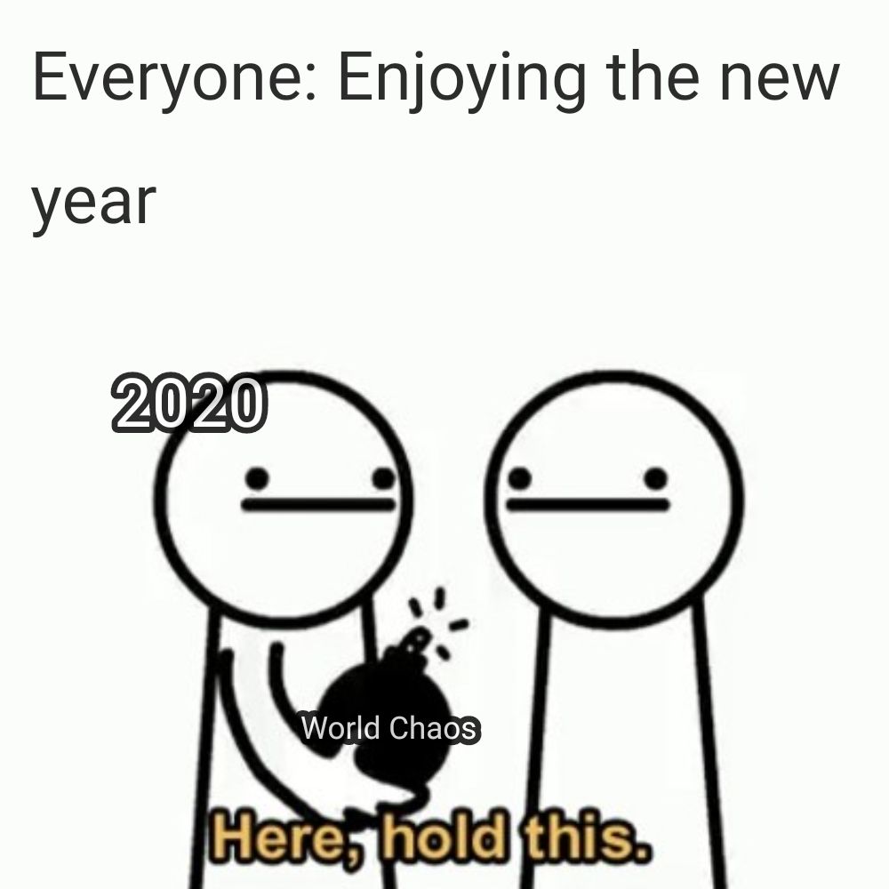 2020 in a nutshell | Scrolller