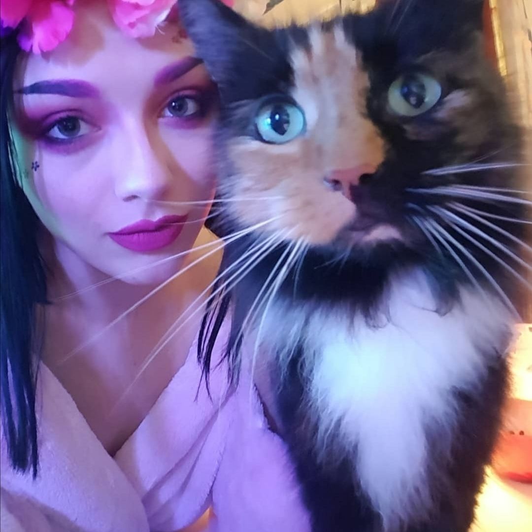 (29.F) Kitteh wanted in. She showing us how it is done. | Scrolller