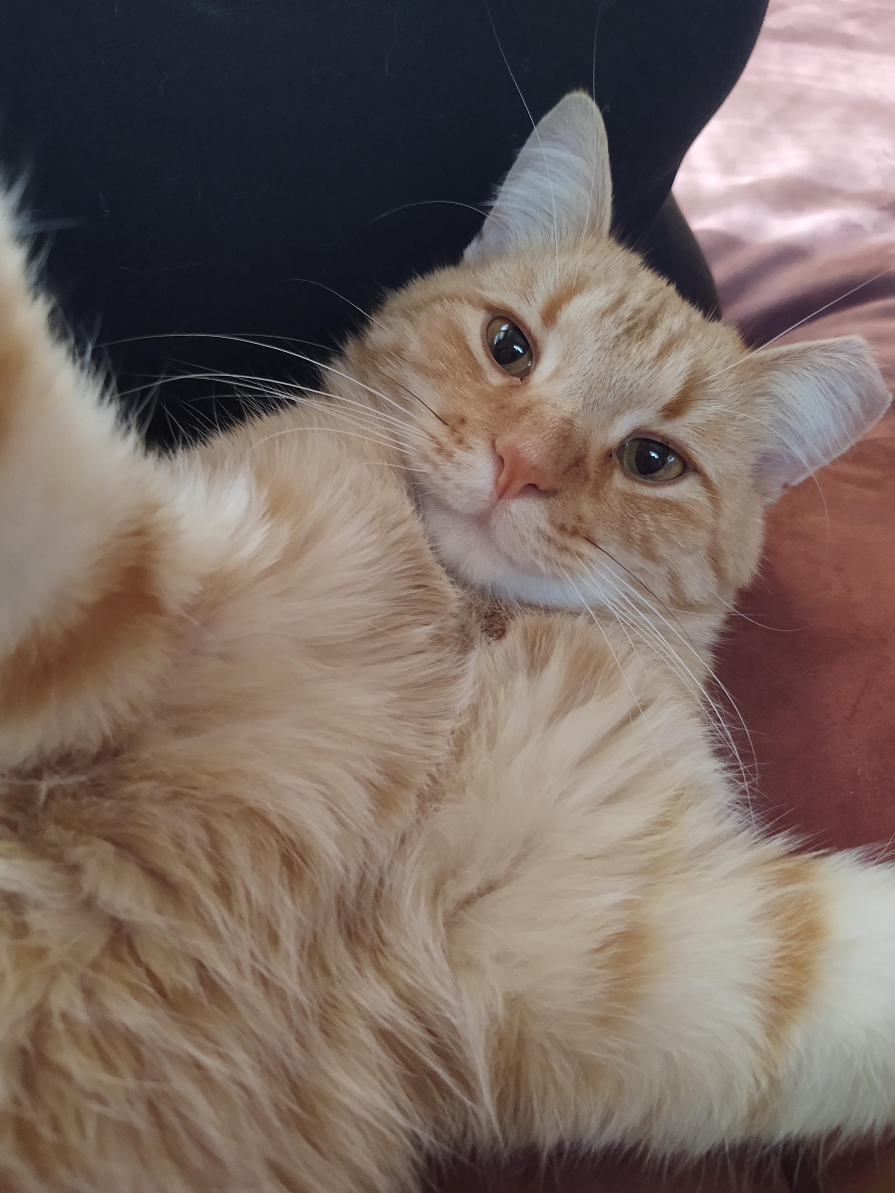 .3 seconds before disaster | Scrolller