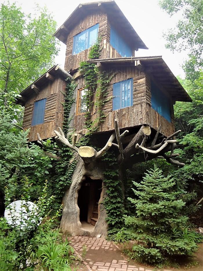 3 Story Tree House In The Woods | Scrolller