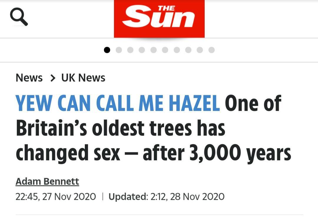 3000 year old Ent says trans rights | Scrolller