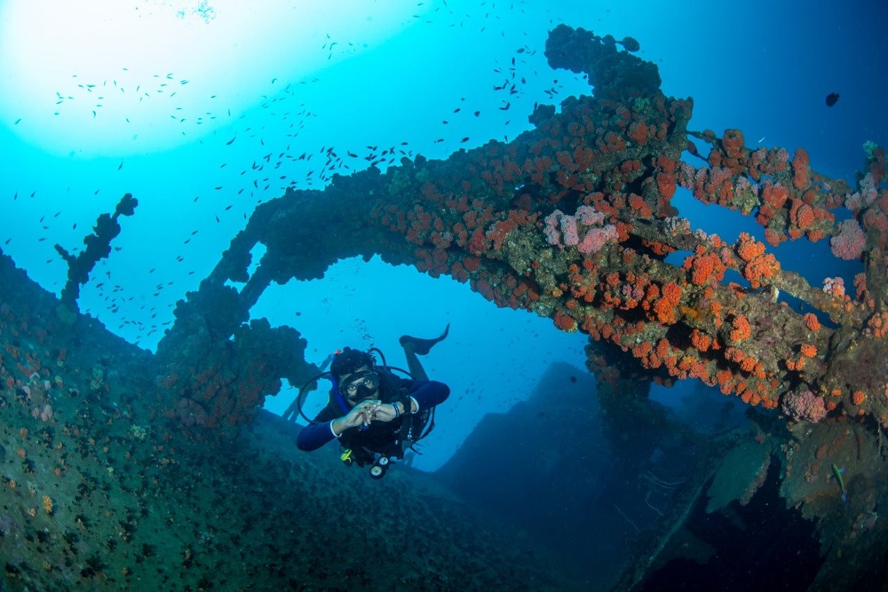 33 meters deep. Colombo is home to some of the best wreck diving spots. | Scrolller