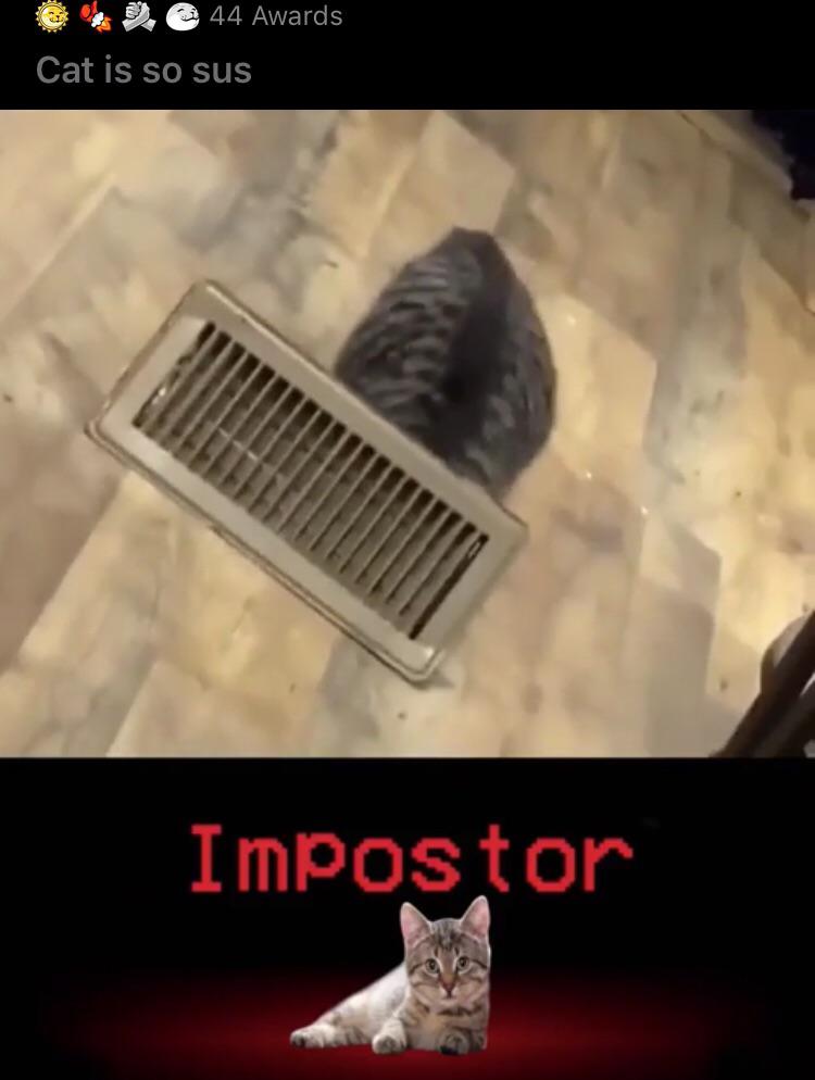 44 awards😐 | Scrolller