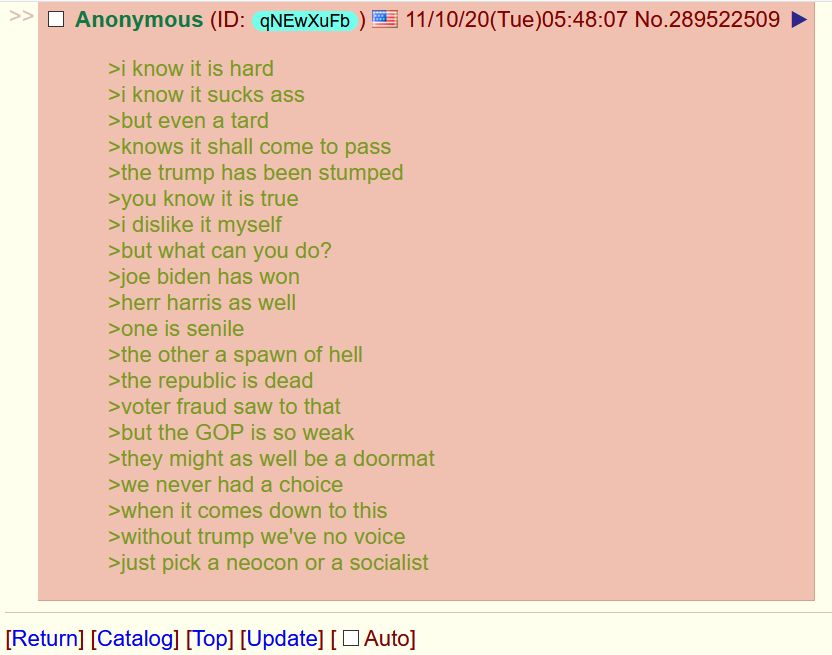 4chan on the 2020 erection | Scrolller