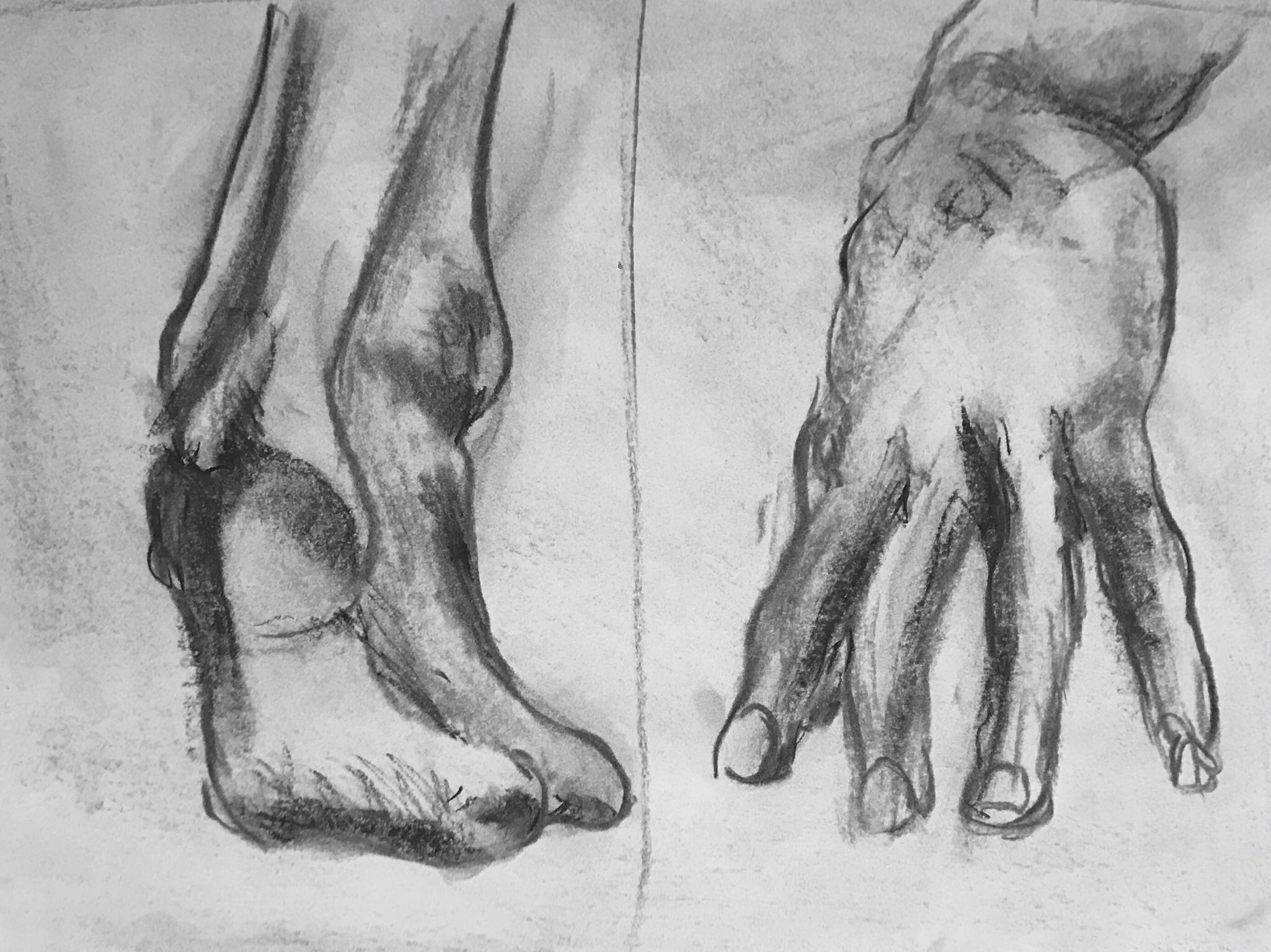 5 minute hand and foot studies | Scrolller