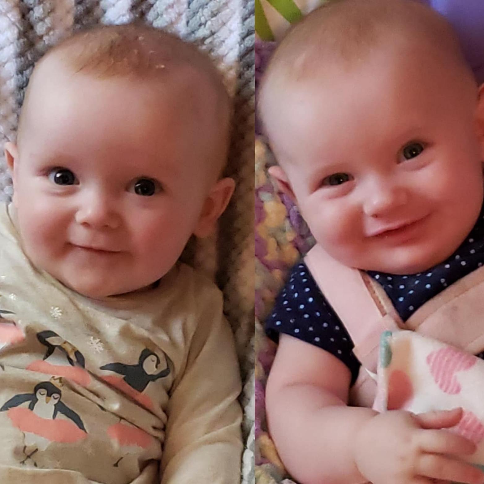 5 months old | Scrolller