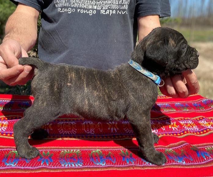 5 weeks... | Scrolller