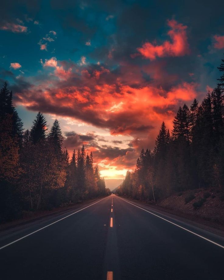 [50/50] The remains of a plane crash (corpses included) (NSFW/NSFL) | A beautiful landscape (SFW ...