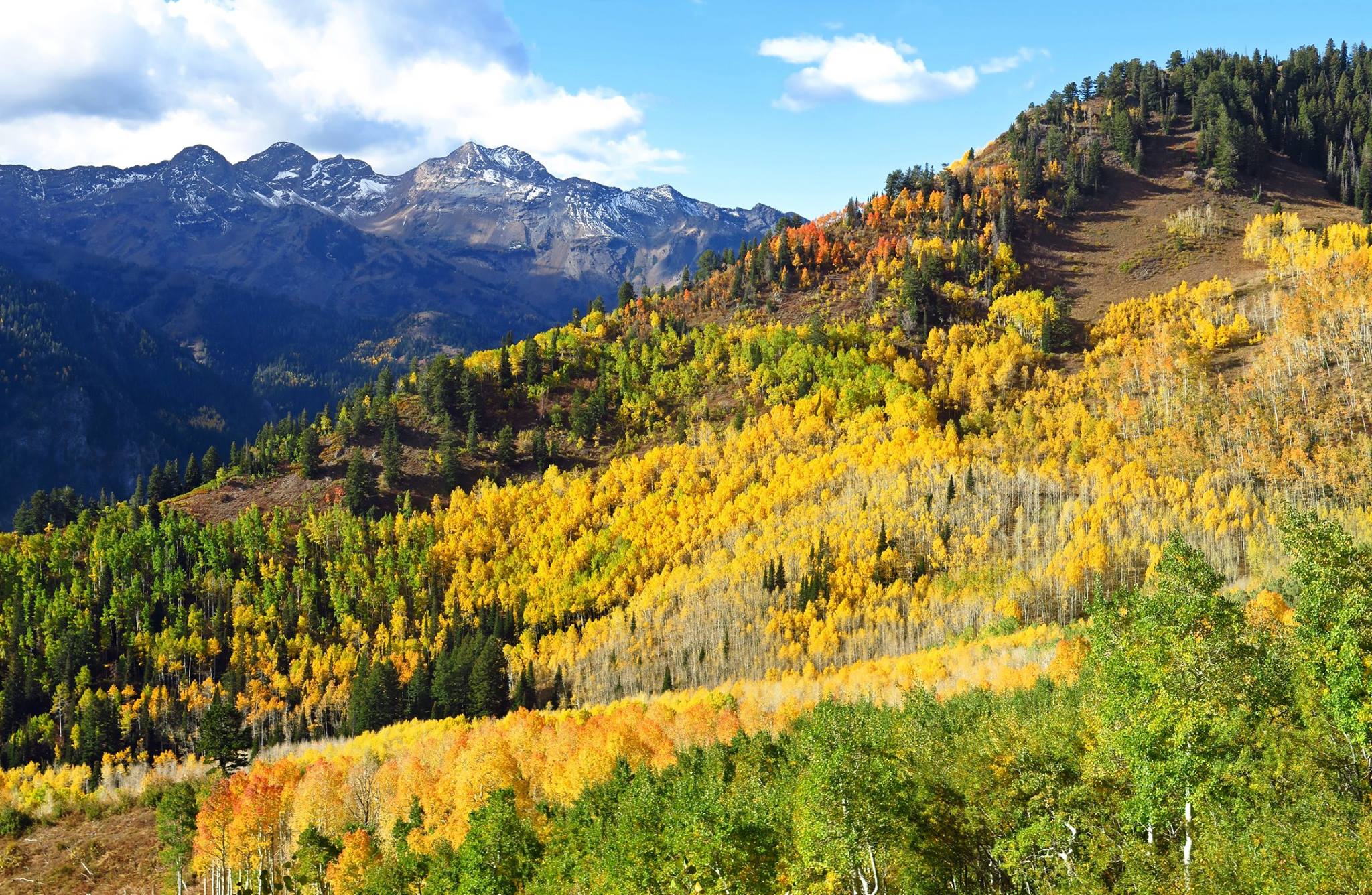 50 Shades of Fall | Scrolller