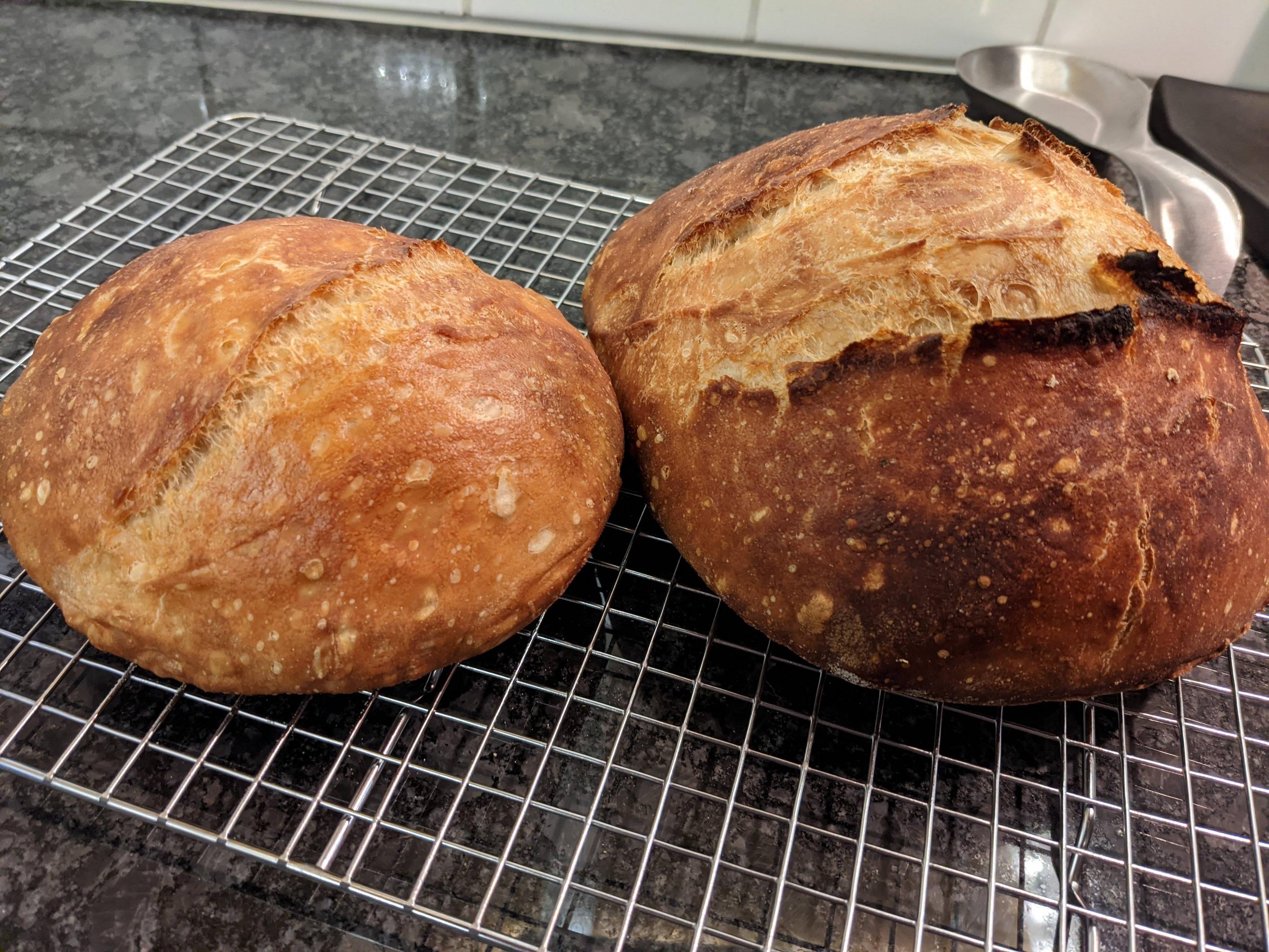 6 day fridge ferment rustic white | Scrolller