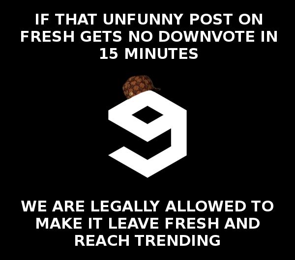 9gag algorithm exposed | Scrolller