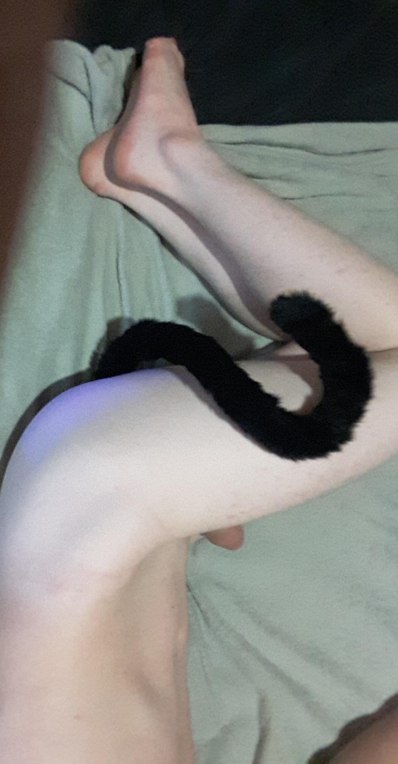 A bad~ sissy kitty | Scrolller