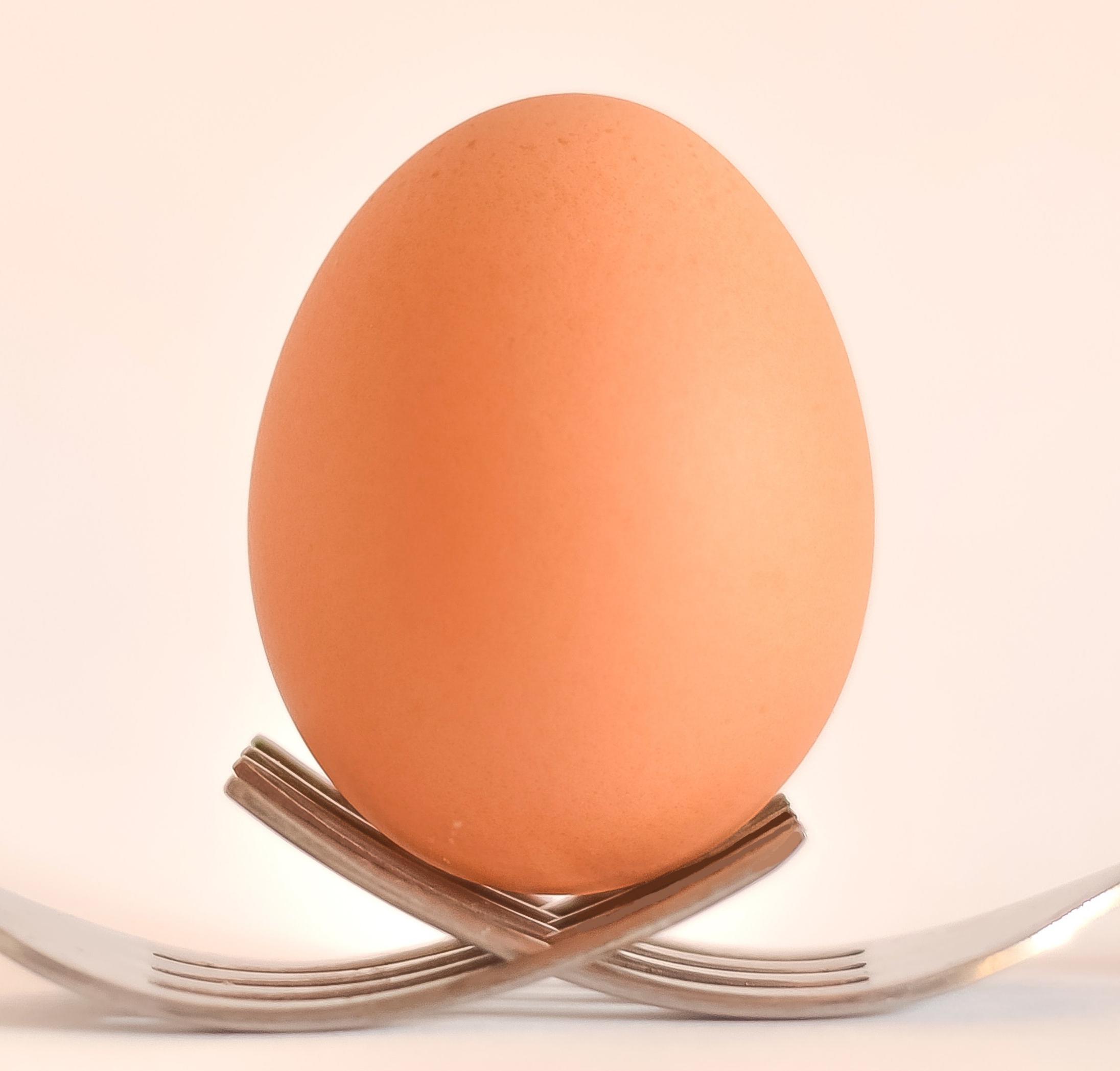 A Balancing Act | Scrolller