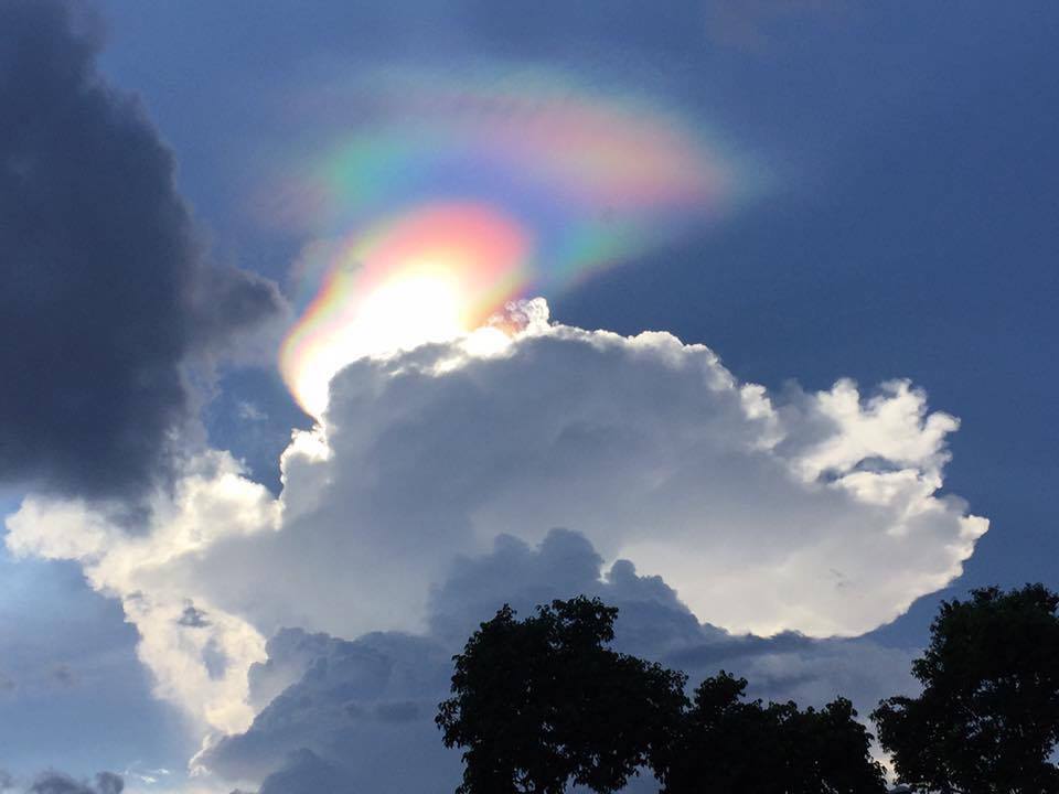 A beautiful fire rainbow | Scrolller
