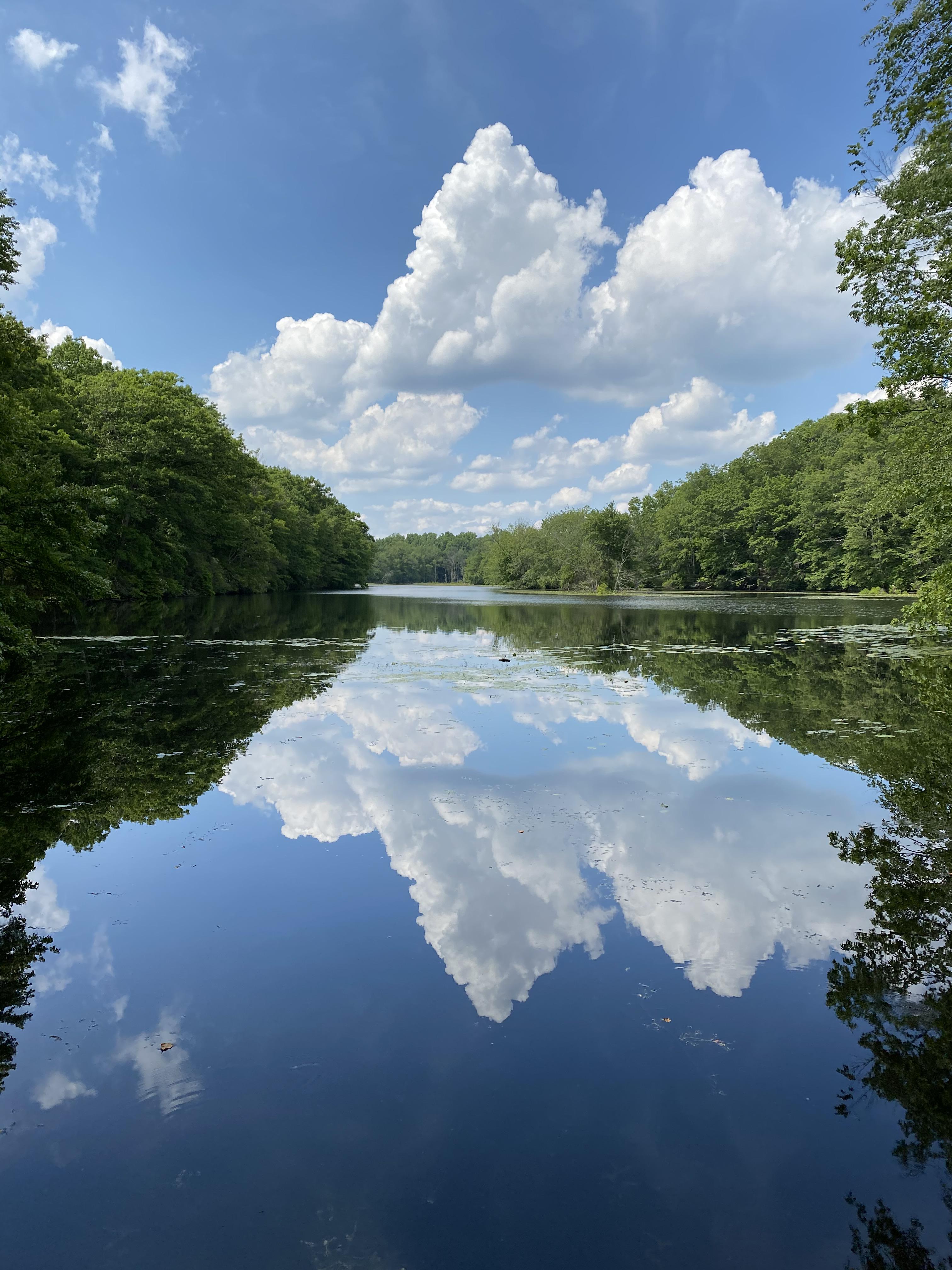 A beautiful reflection I managed to capture | Scrolller