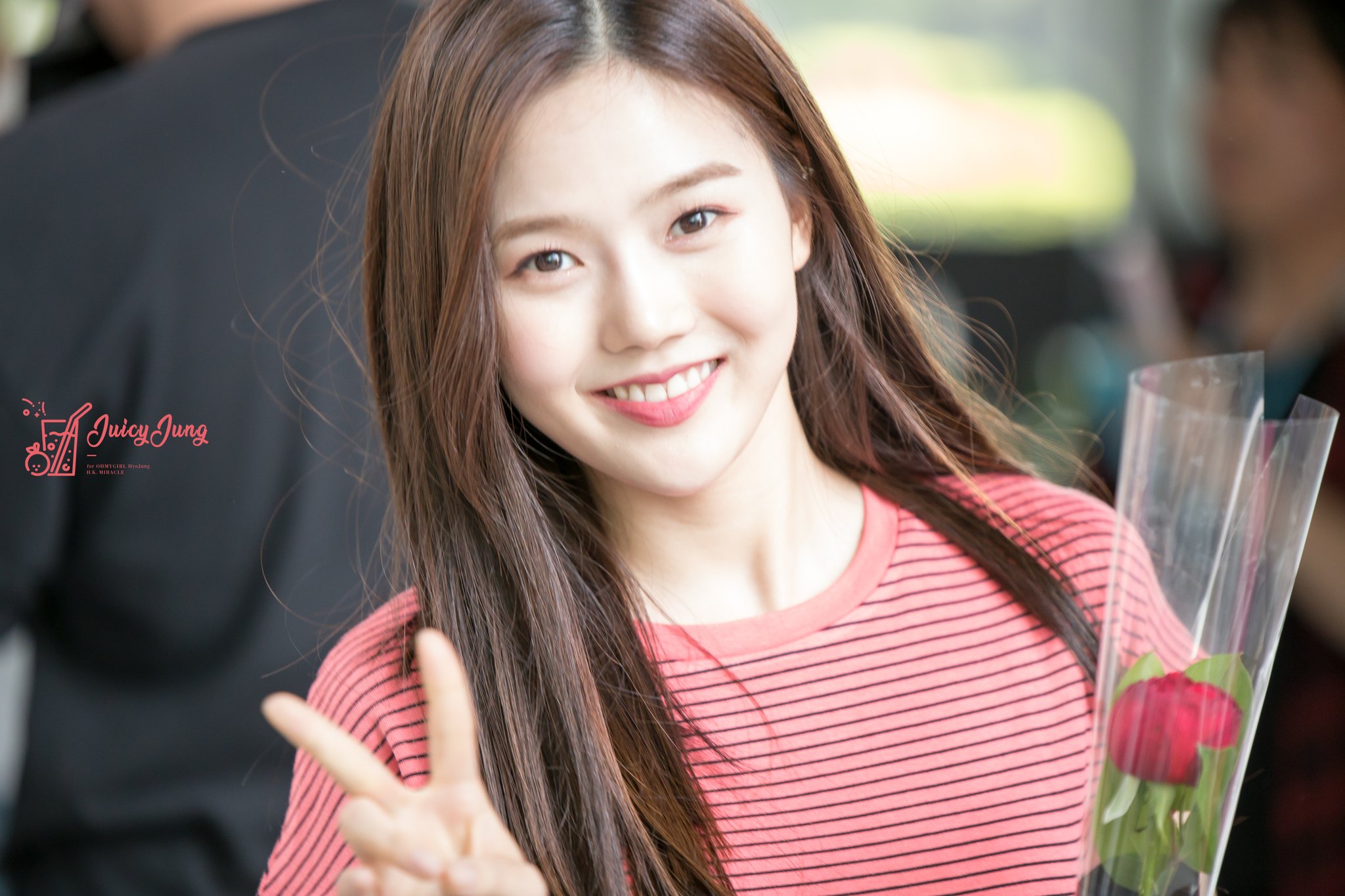 A Beautiful Rose | Scrolller