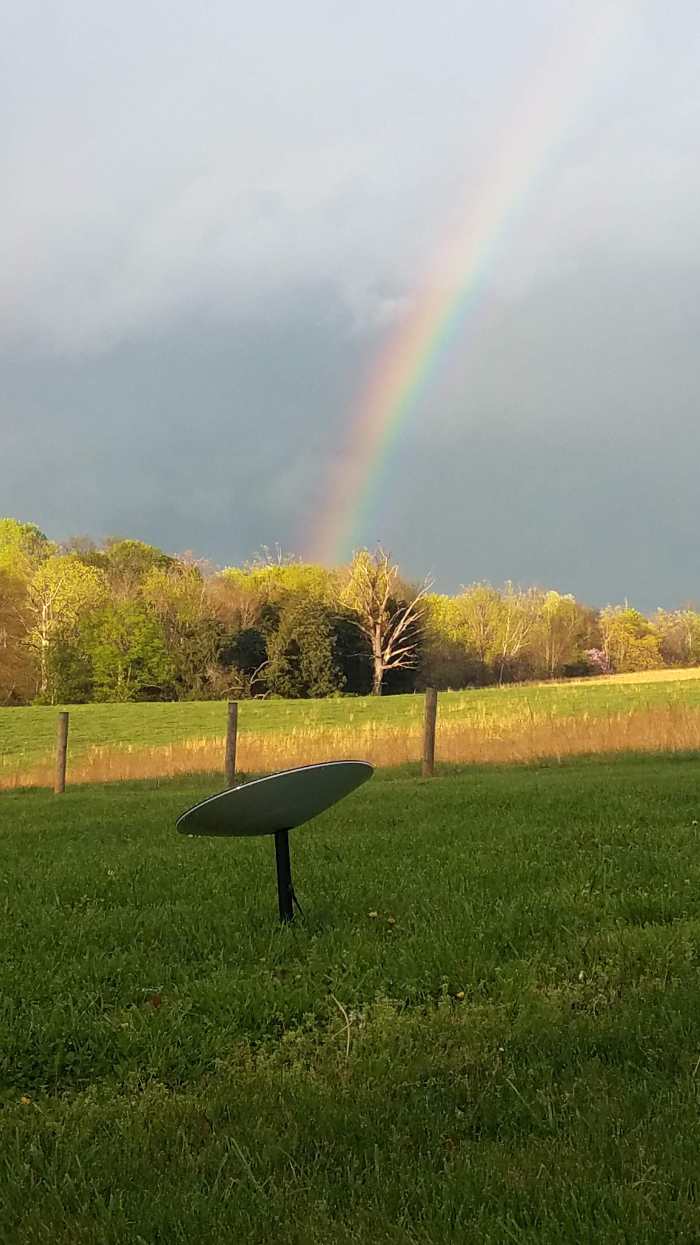 A beautiful sight | Scrolller