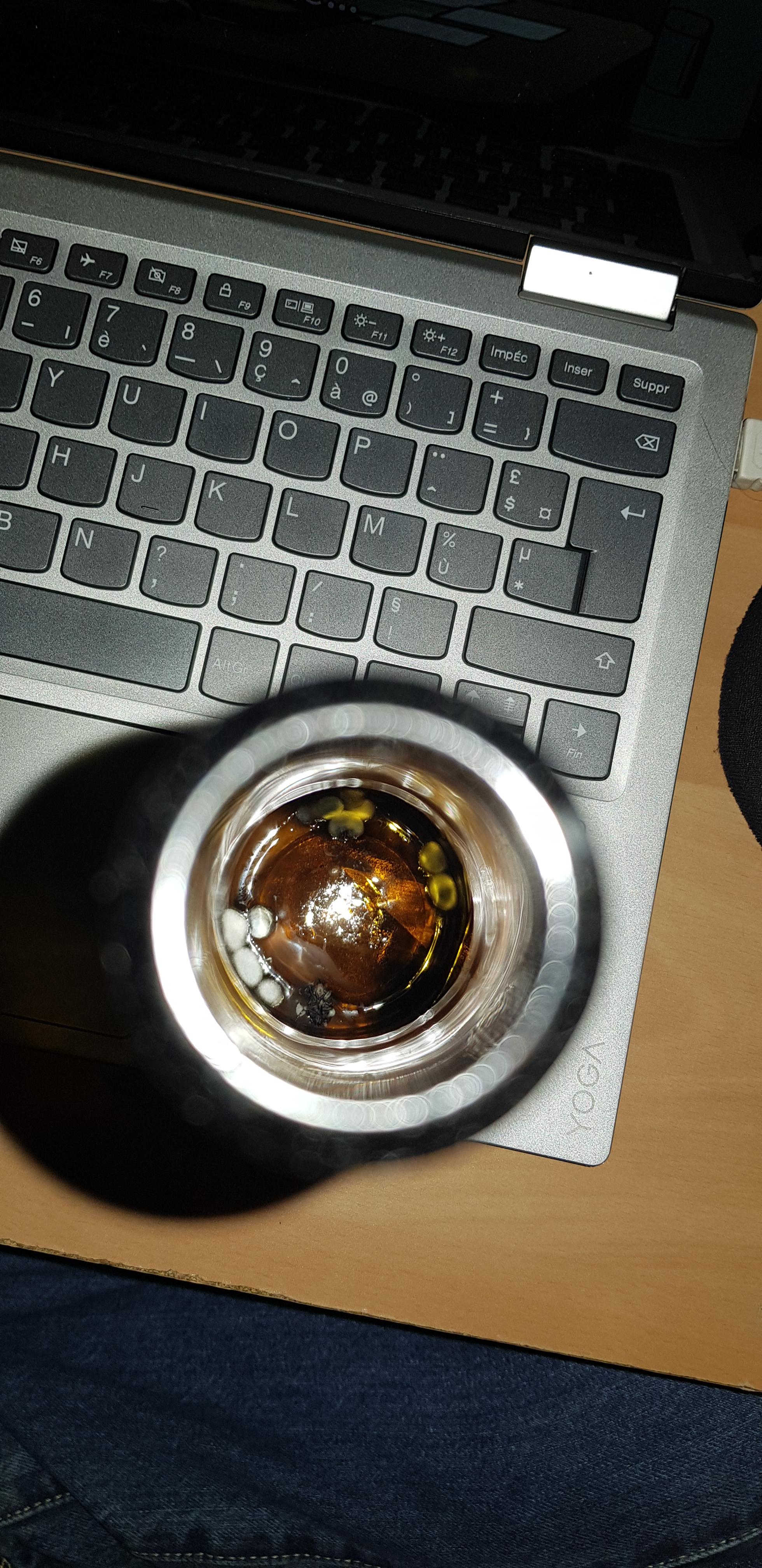 A beer bottle I forgot in my room. (an alcoholic fly got trapped inside) | Scrolller