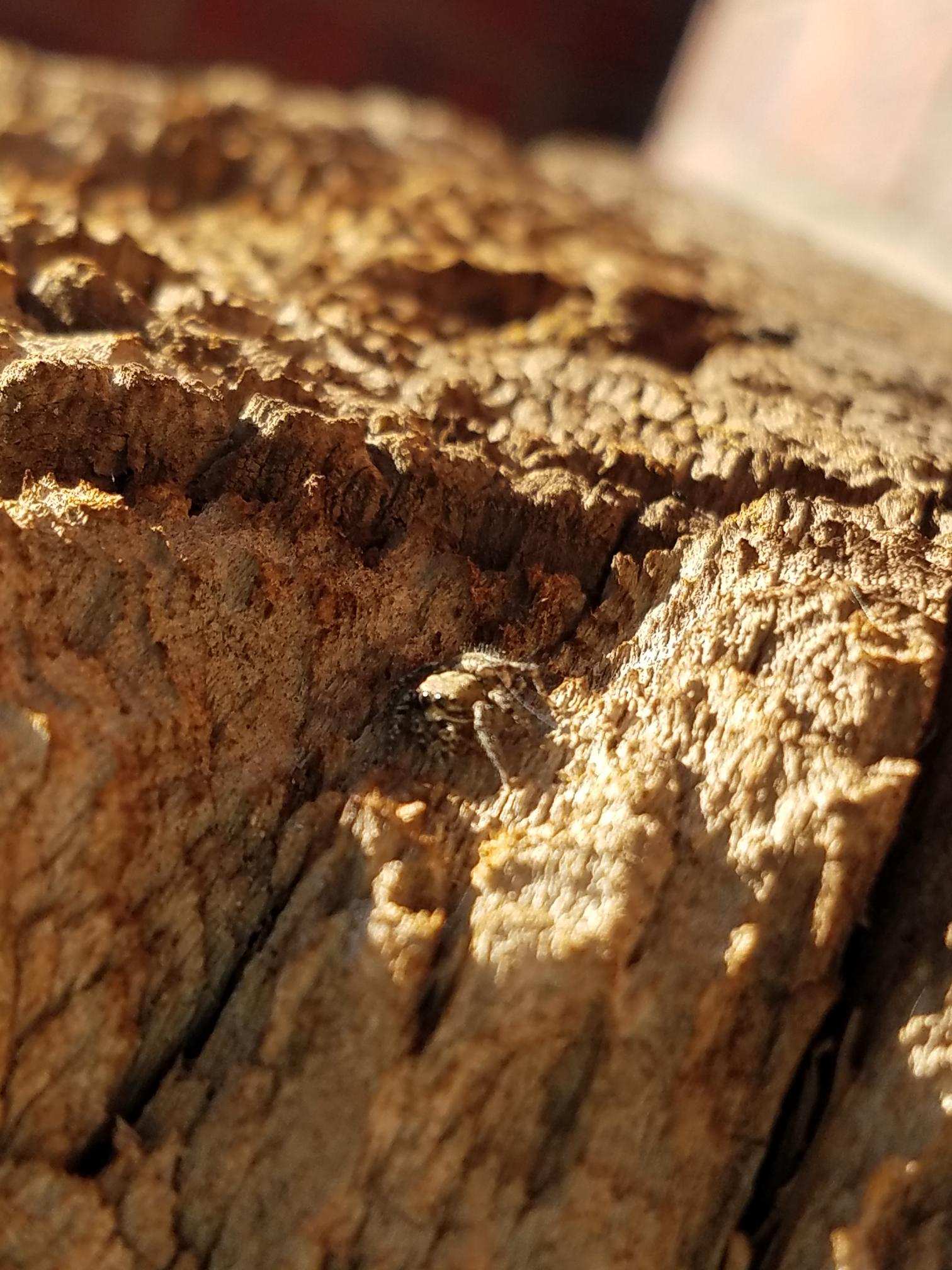 A better angle | Scrolller