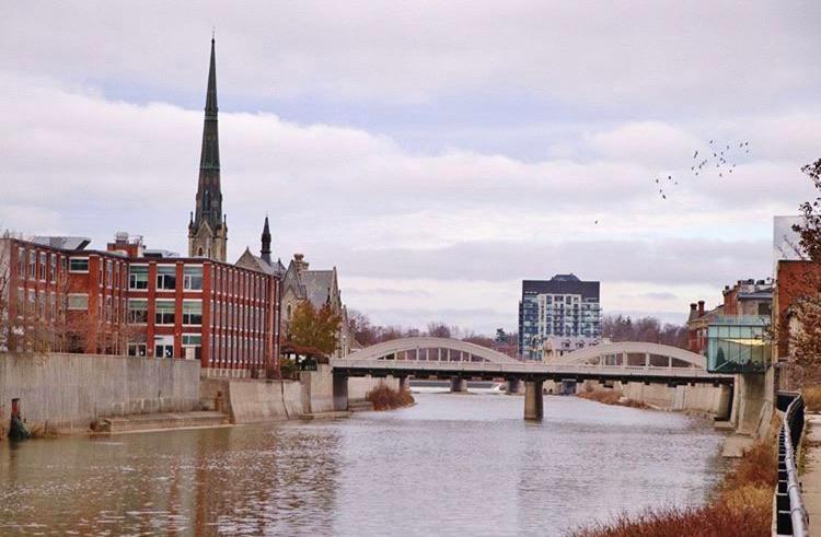 A brisk walk in Cambridge | Scrolller