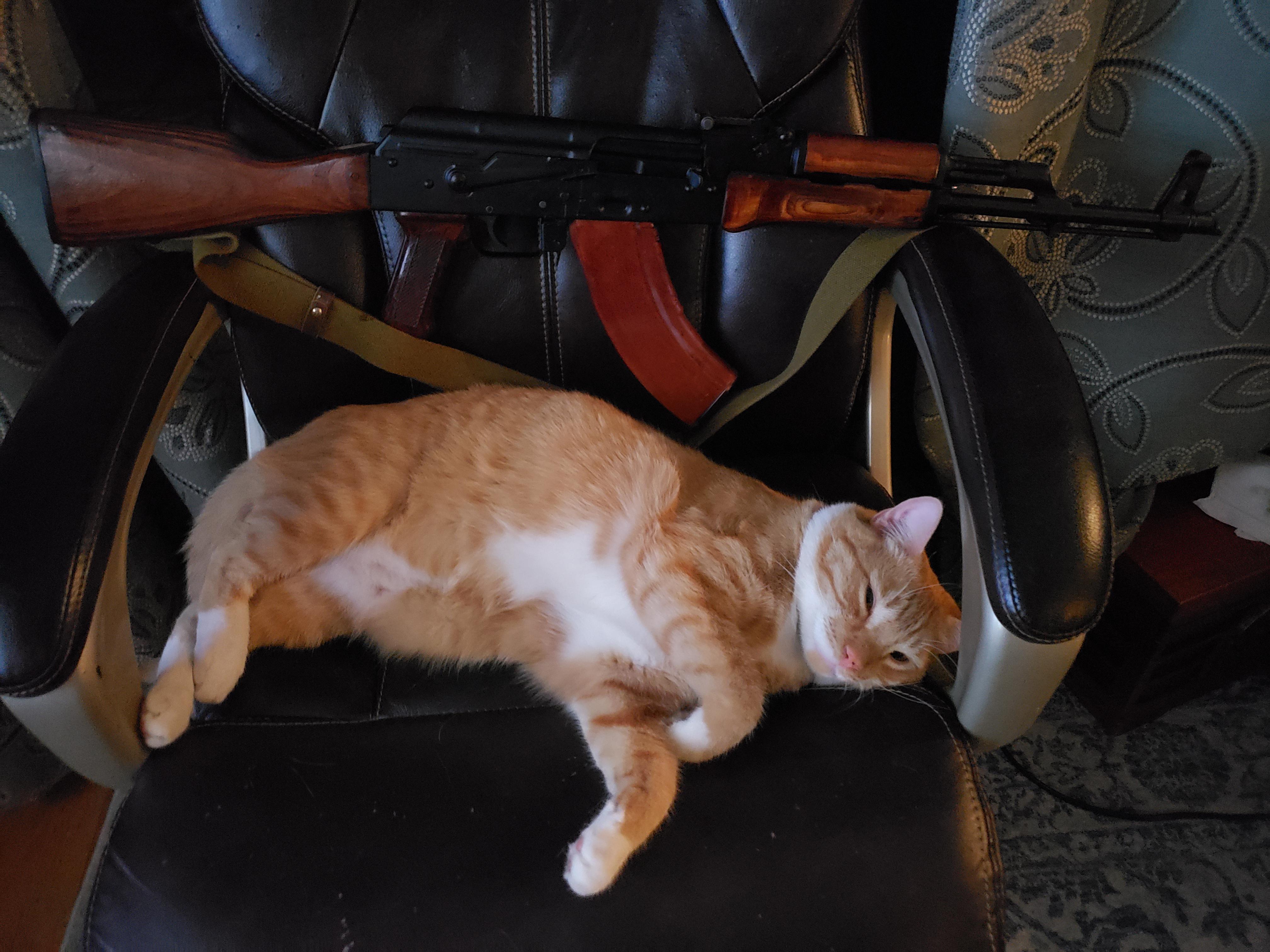 A couple of deadly weapons. | Scrolller