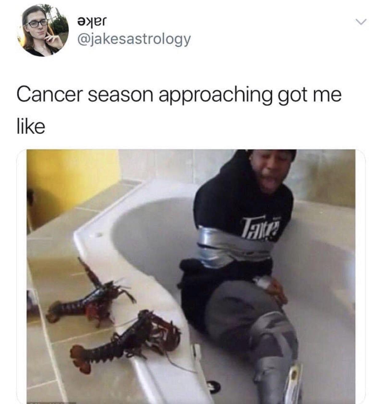 A crustacean infestation | Scrolller