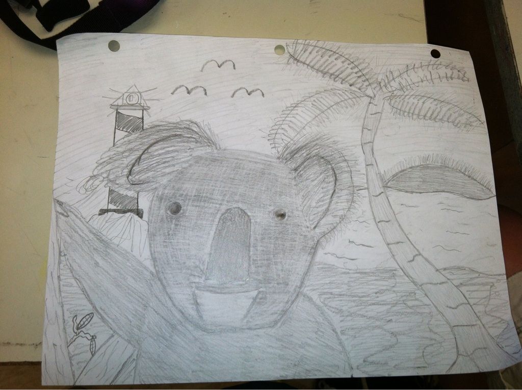 A drawing I made in art class of my all time favorite animal, The Koala bear | Scrolller