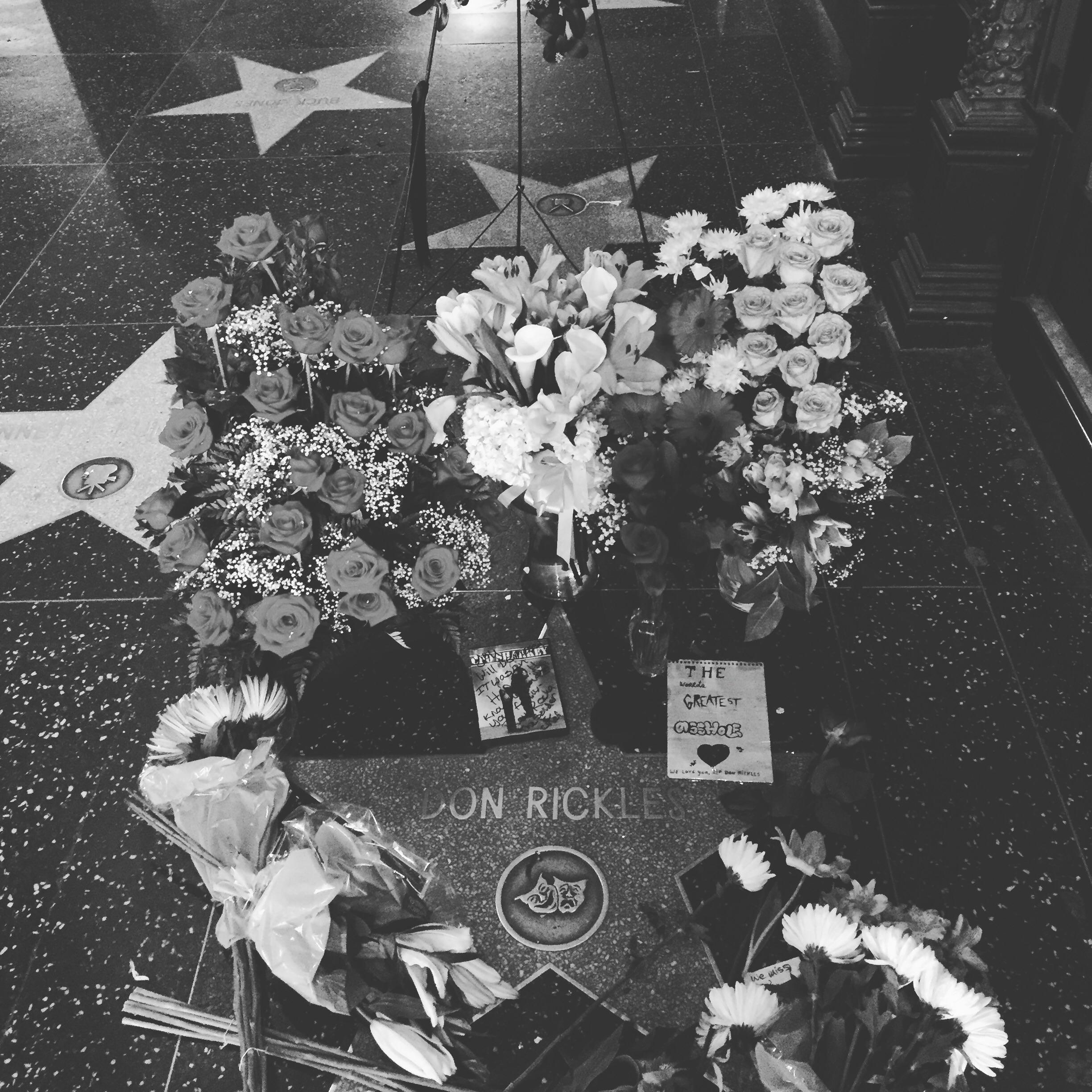 A fellow of infinite jest. | Scrolller