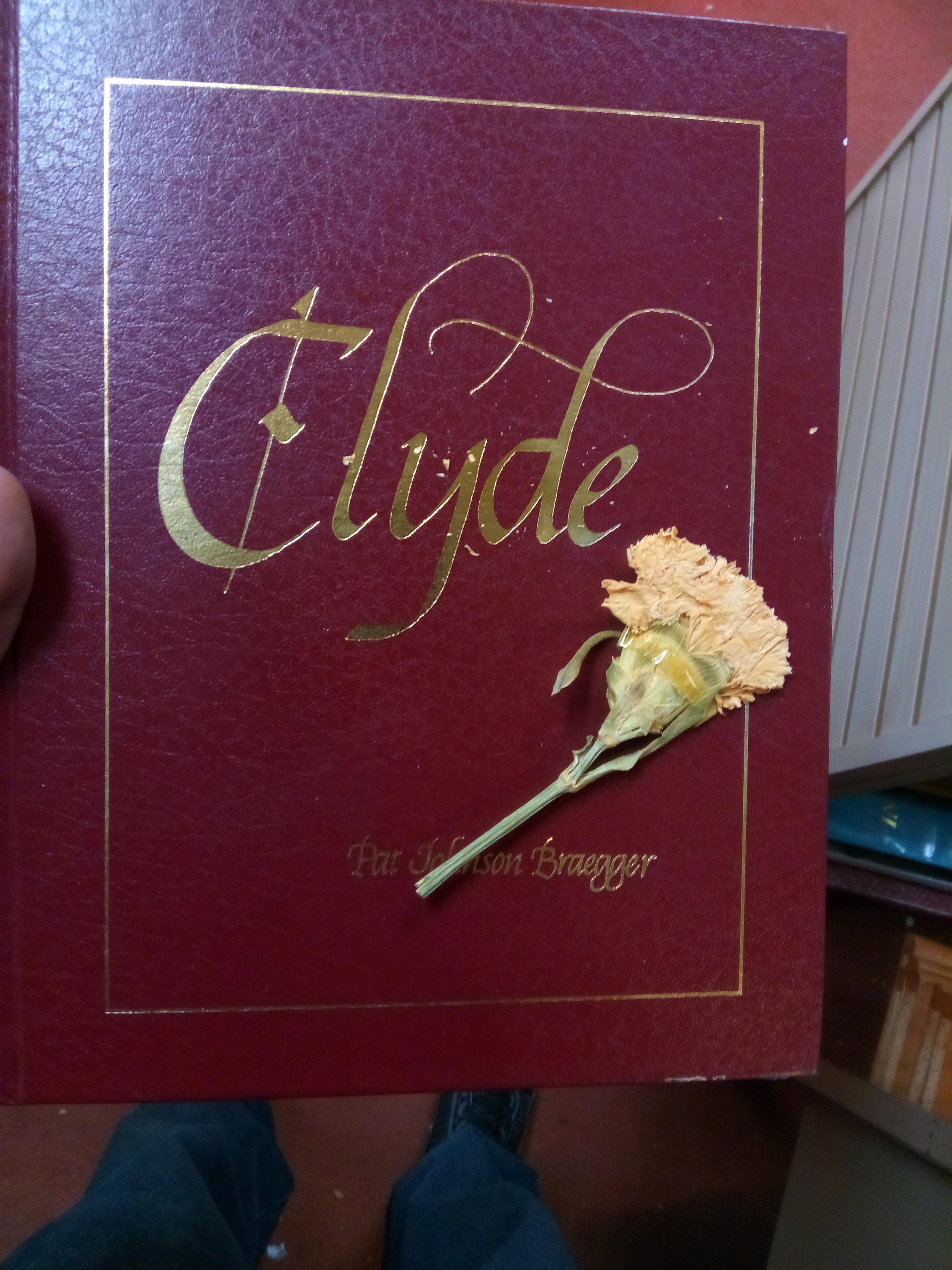 A flower for Clyde | Scrolller