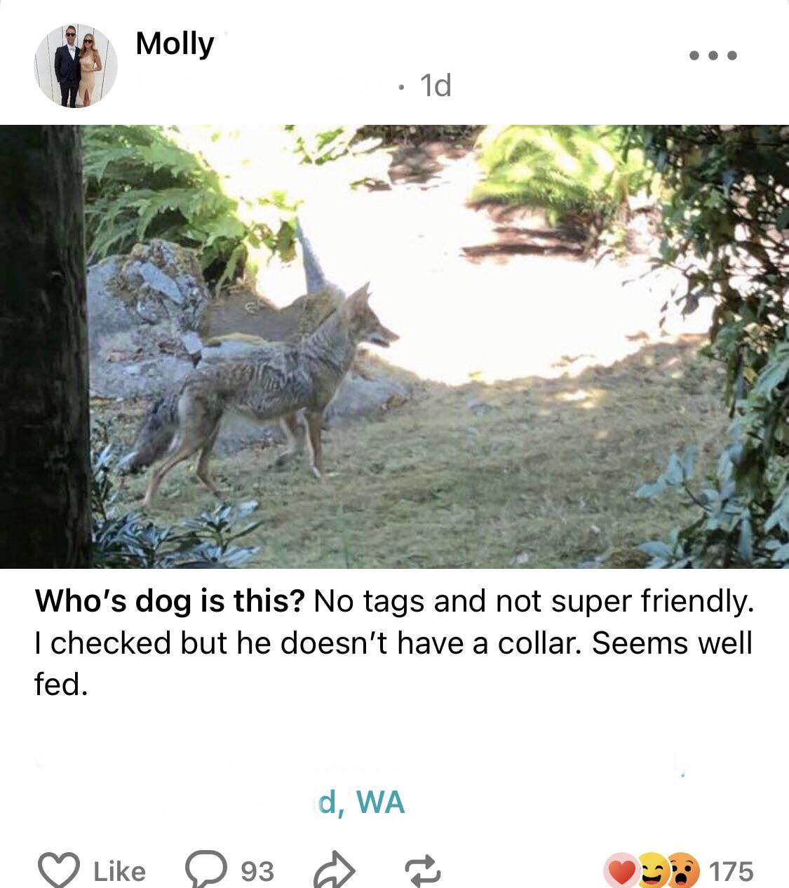 A gem from my Nextdoor feed | Scrolller