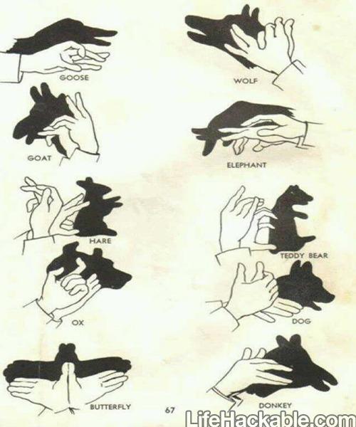 A guide to make shadow puppets | Scrolller