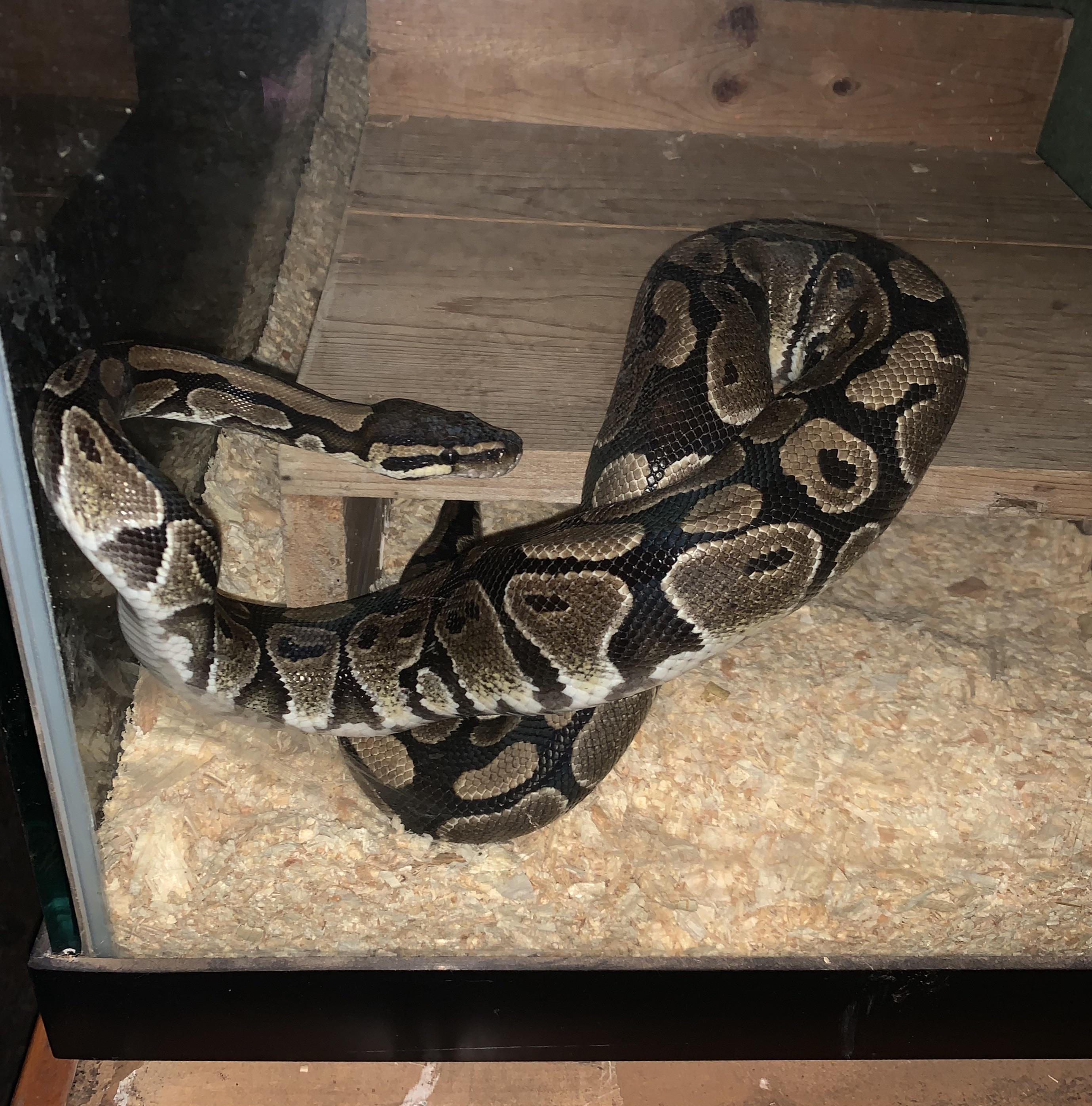 A handsome fella | Scrolller