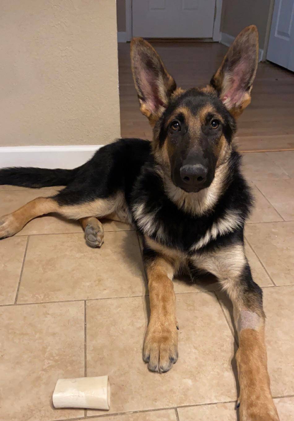 A handsome young man | Scrolller