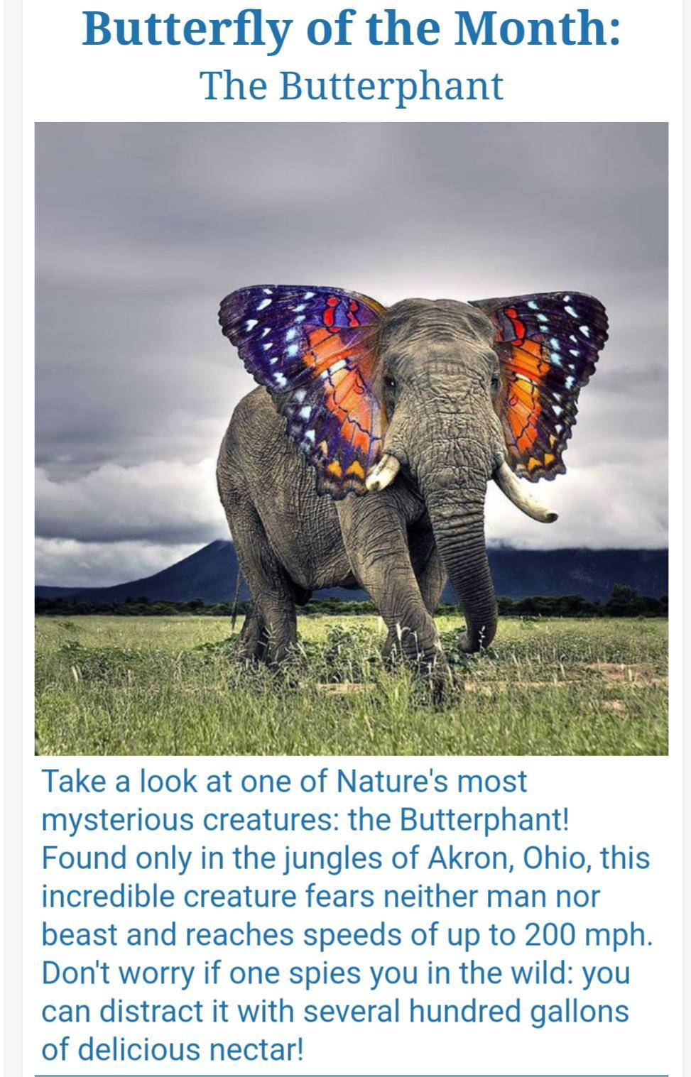 A little April fool's fun from Insect Lore. | Scrolller