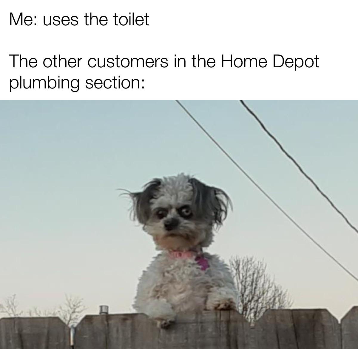 A little privacy please | Scrolller