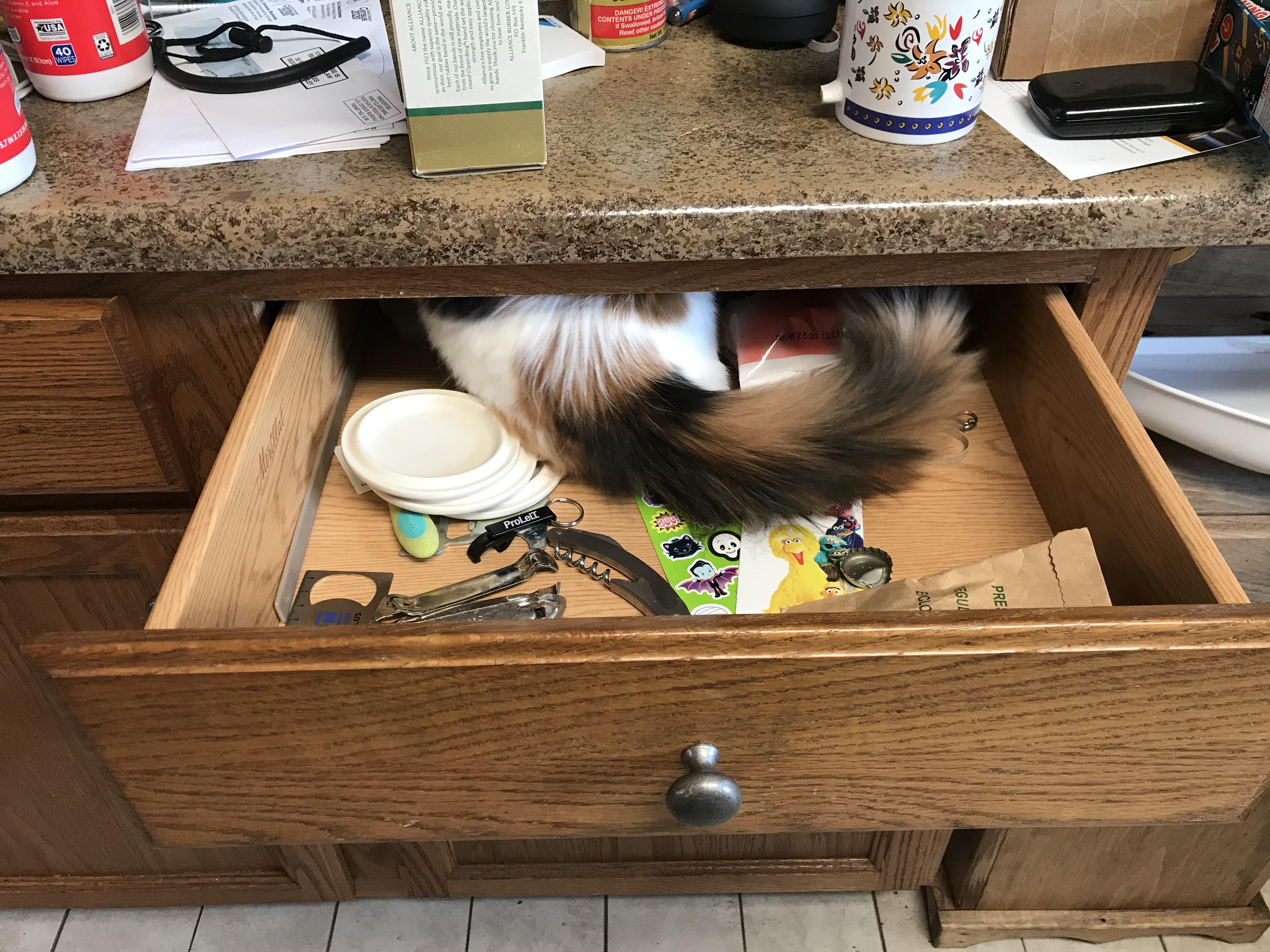 A little something extra was in the junk drawer | Scrolller