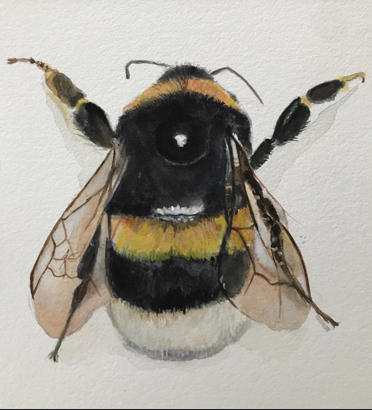 A little watercolor bee I did last year. | Scrolller