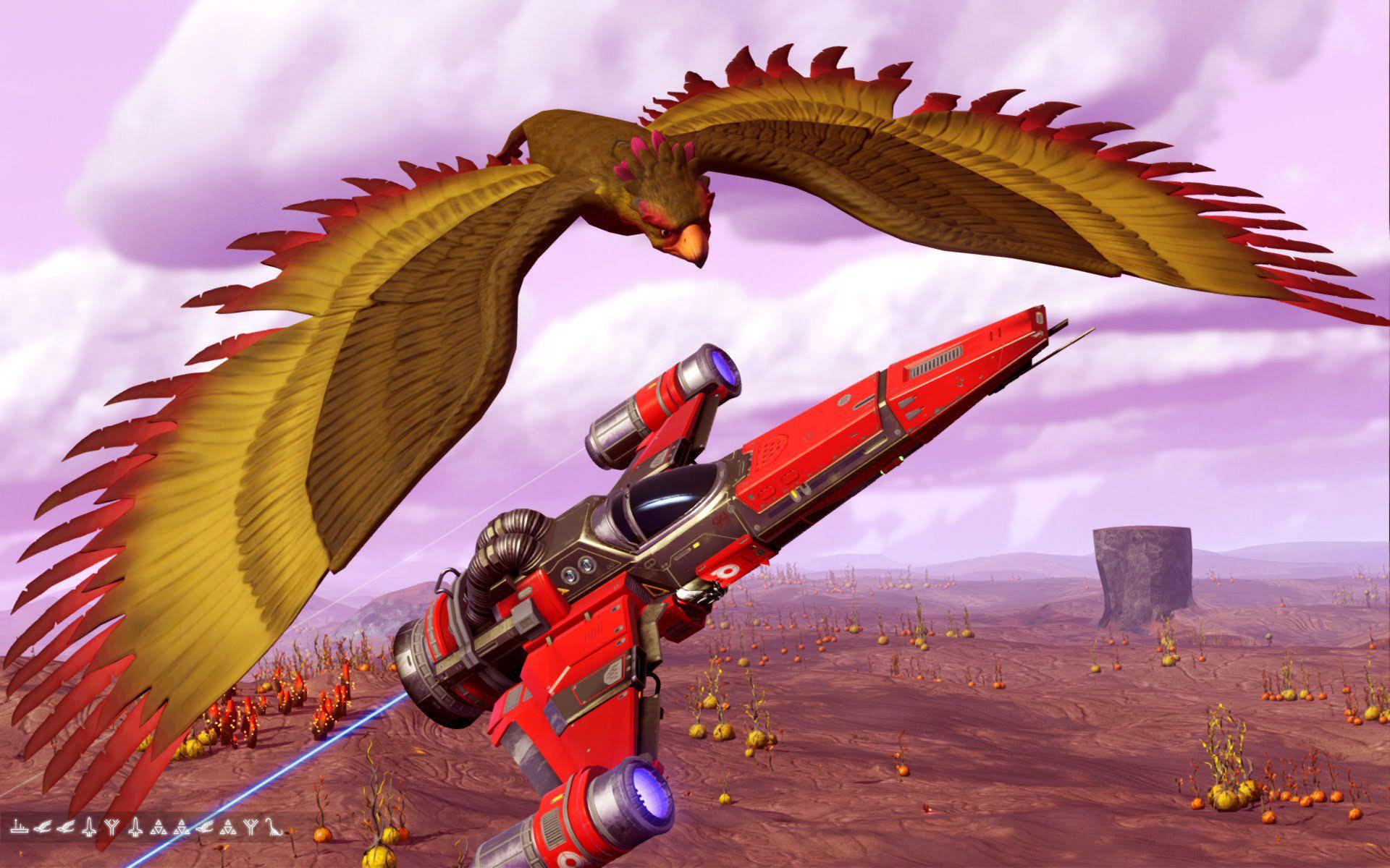 A majestic and colourful eagle | Scrolller