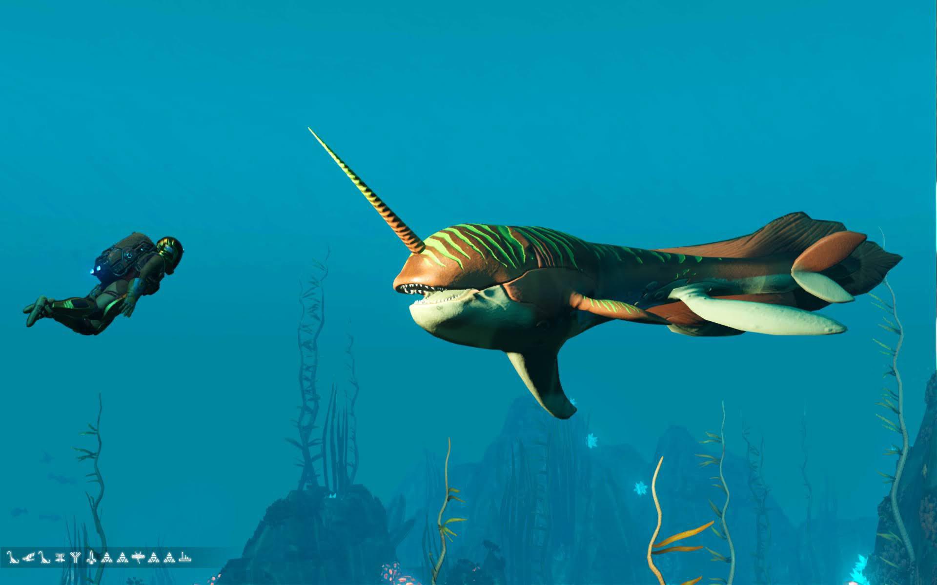 A mystical Narwhal! | Scrolller