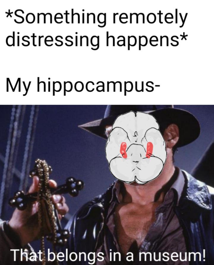 A new core memory! | Scrolller