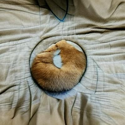 A perfect circle | Scrolller