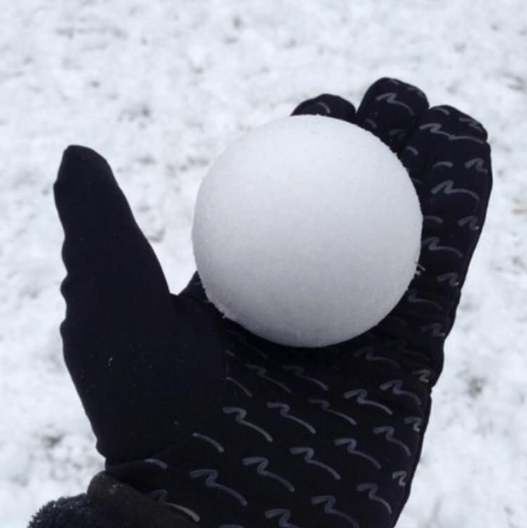 a perfect snow ball | Scrolller